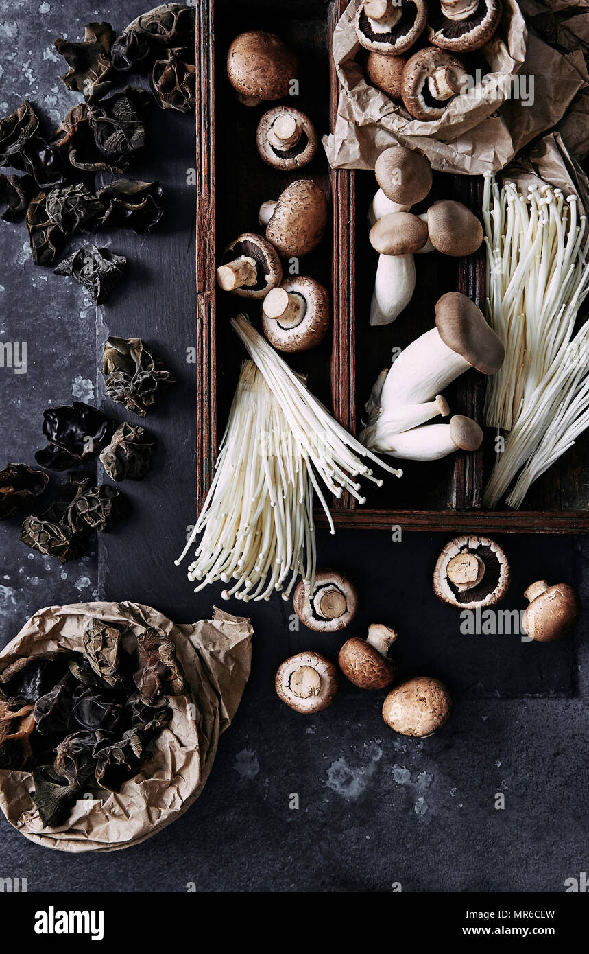 Pilz sorten -Fotos und -Bildmaterial in hoher Auflösung – Alamy