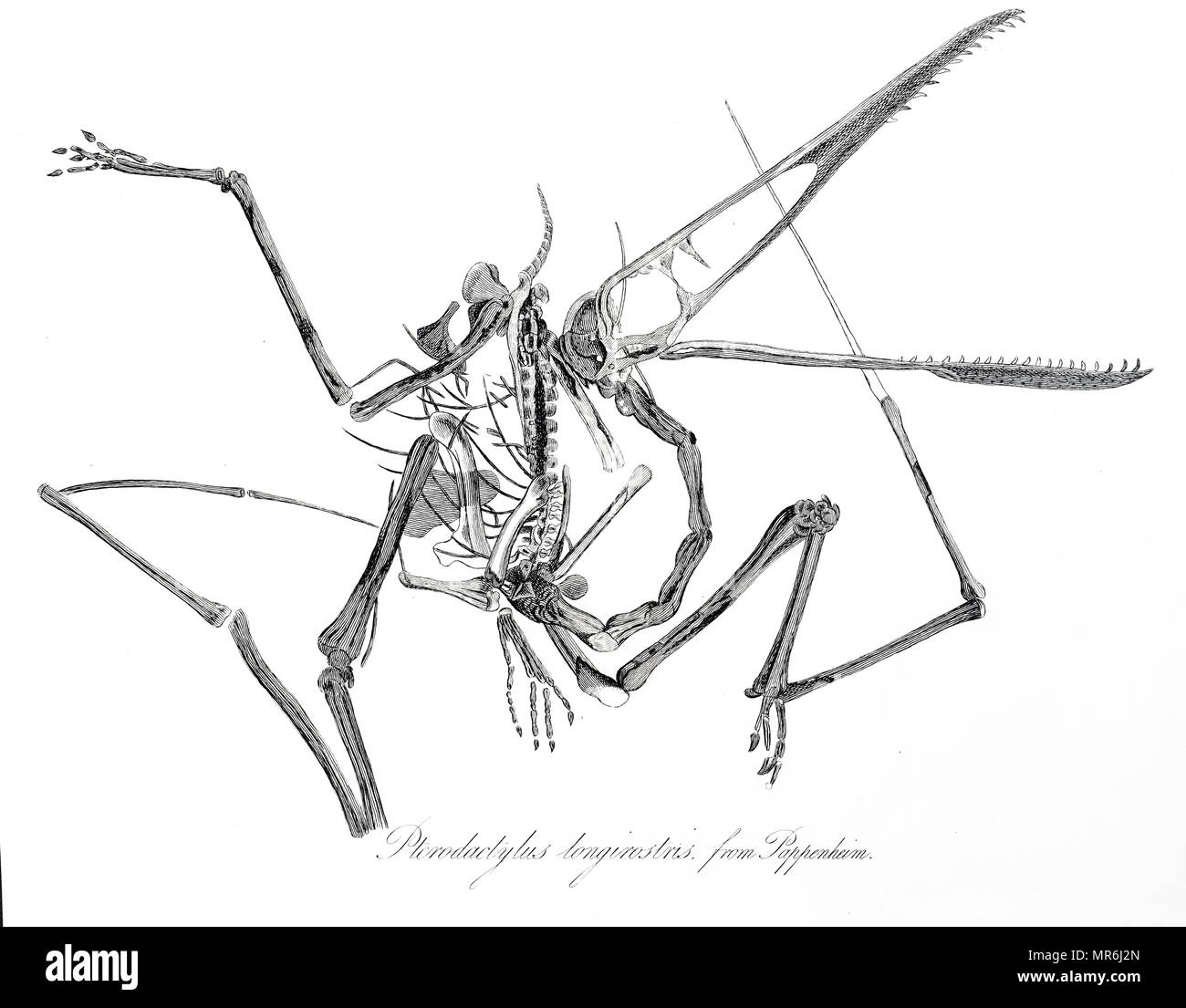 Water clock clepsydra -Fotos und -Bildmaterial in hoher Auflösung – Alamy