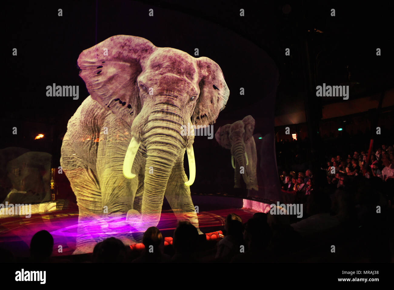 25. Mai 2018, Deutschland, Düsseldorf: Elefant Hologramme schweben ...