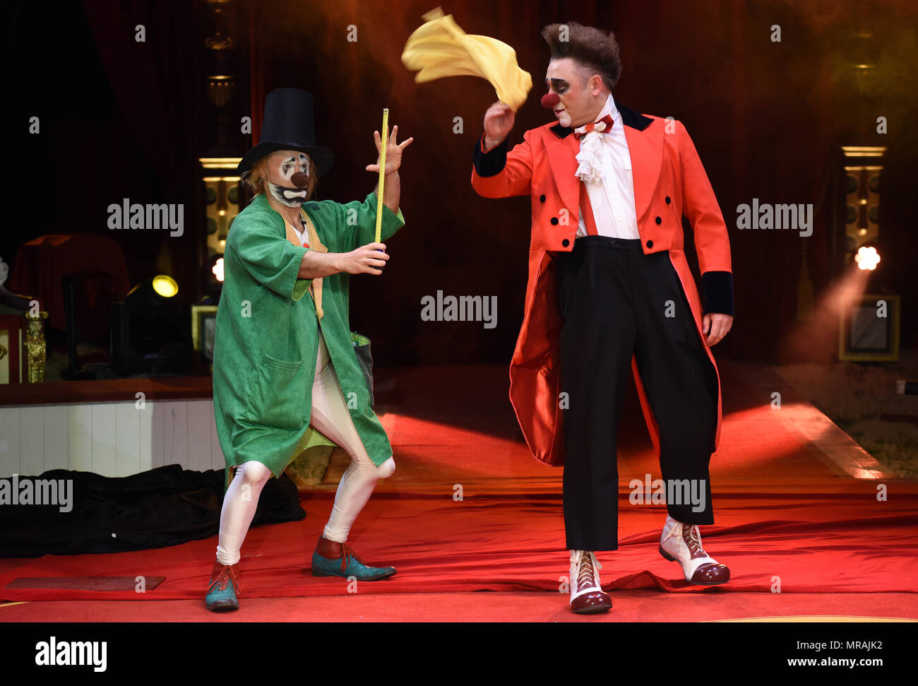 Elefanten von morgen -Fotos und -Bildmaterial in hoher Auflösung – Alamy