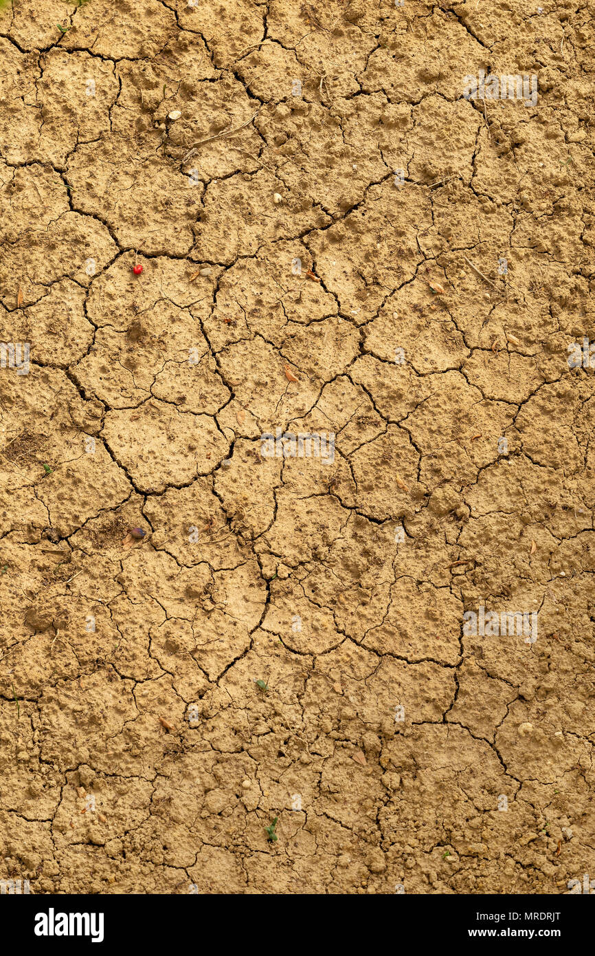 Soil texture -Fotos und -Bildmaterial in hoher Auflösung – Alamy