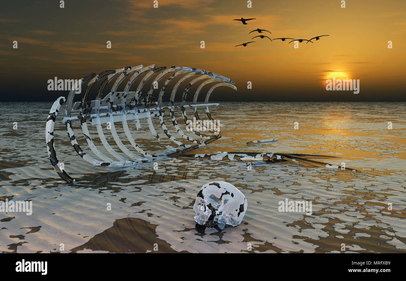 Katastrophe unfall wrack -Fotos und -Bildmaterial in hoher Auflösung ...