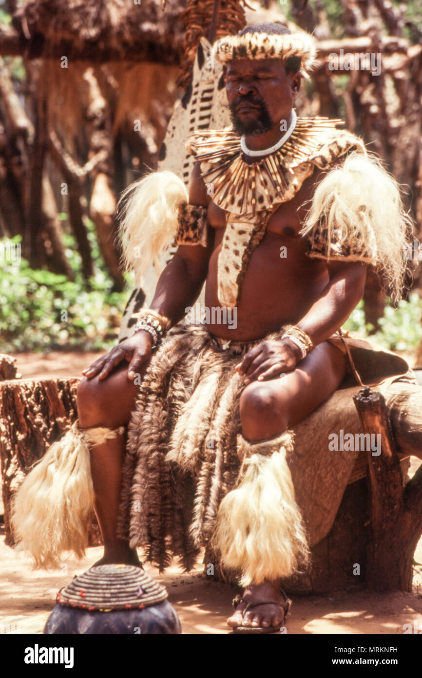 Zulu federn -Fotos und -Bildmaterial in hoher Auflösung – Alamy