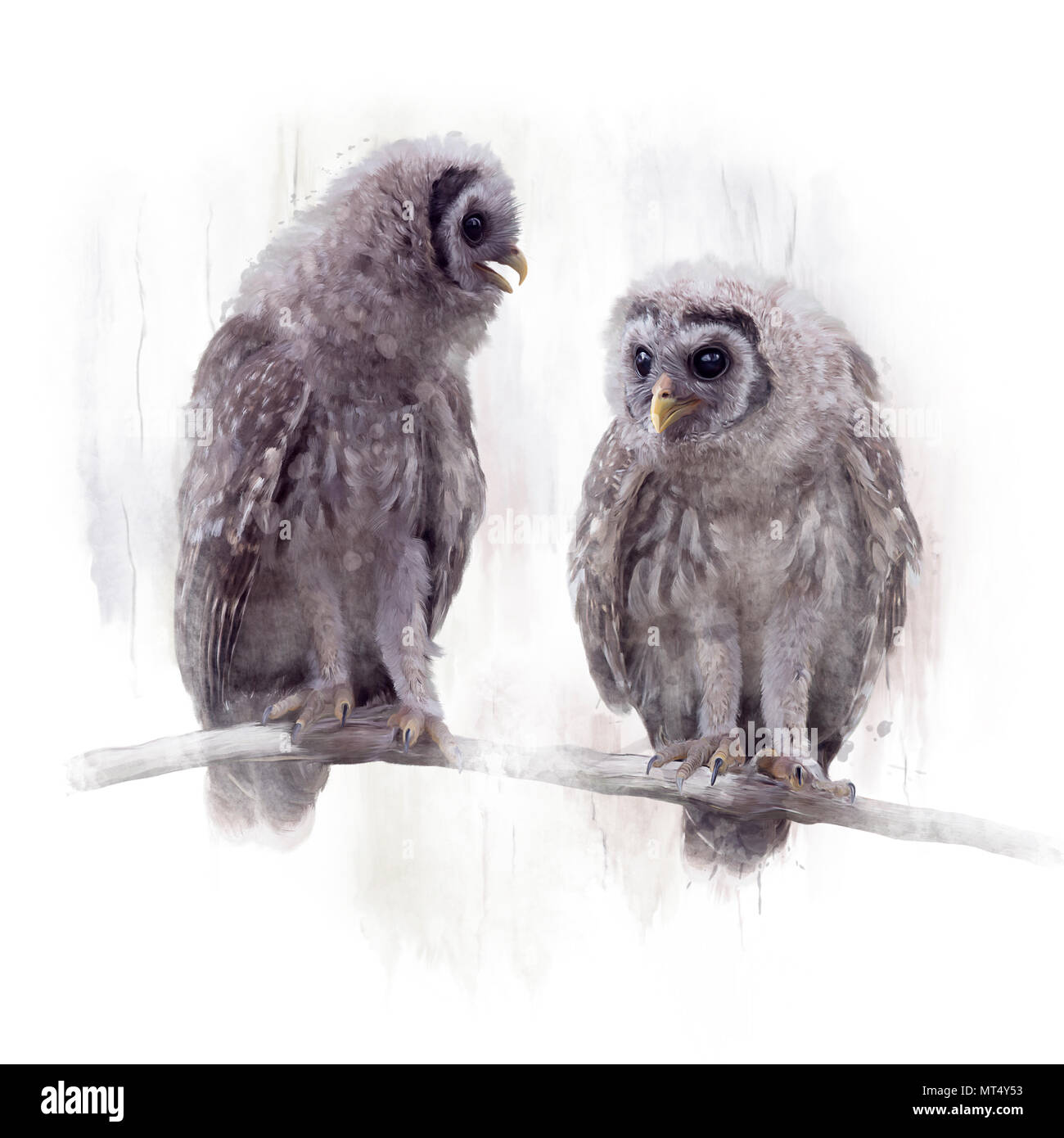 Eulen sitzen auf einem ast Ausgeschnittene Stockfotos und -bilder - Alamy