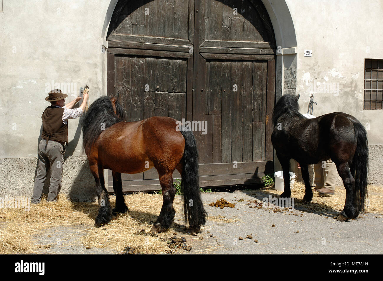 Arena po -Fotos und -Bildmaterial in hoher Auflösung – Alamy