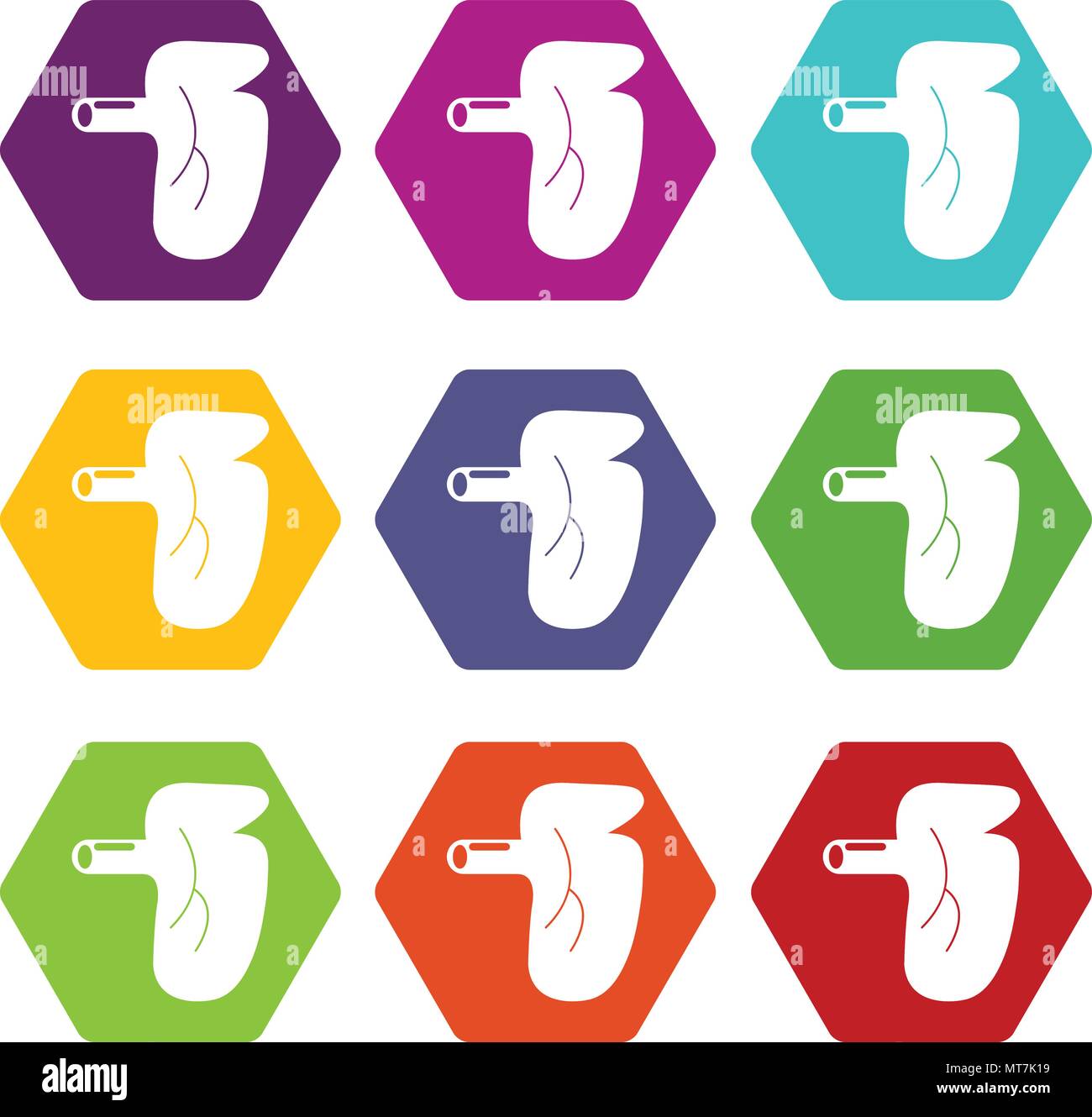 Anatomie der niere und der nebenniere Stock-Vektorgrafiken kaufen ...