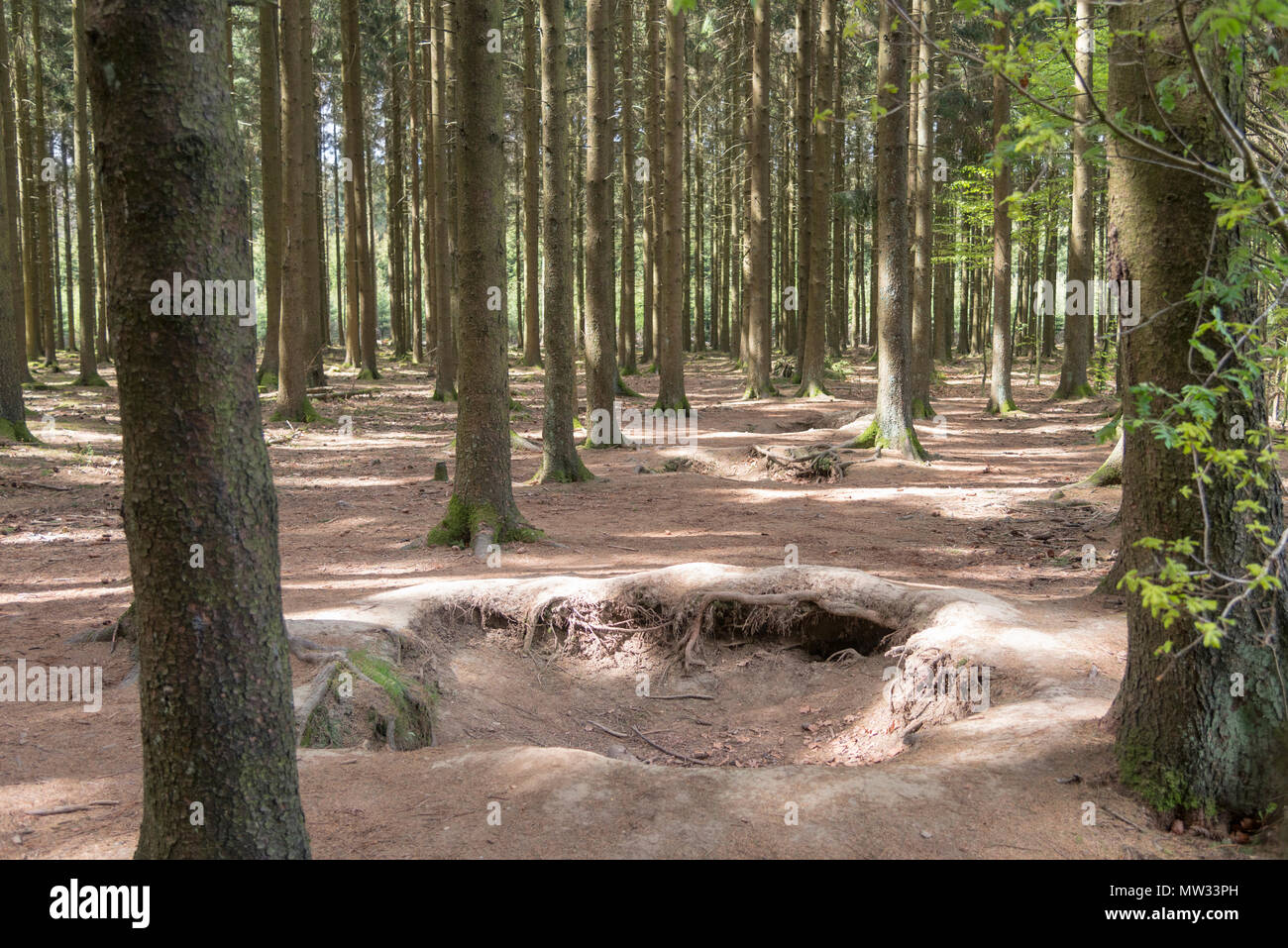 Foxhole foxholes -Fotos und -Bildmaterial in hoher Auflösung – Alamy