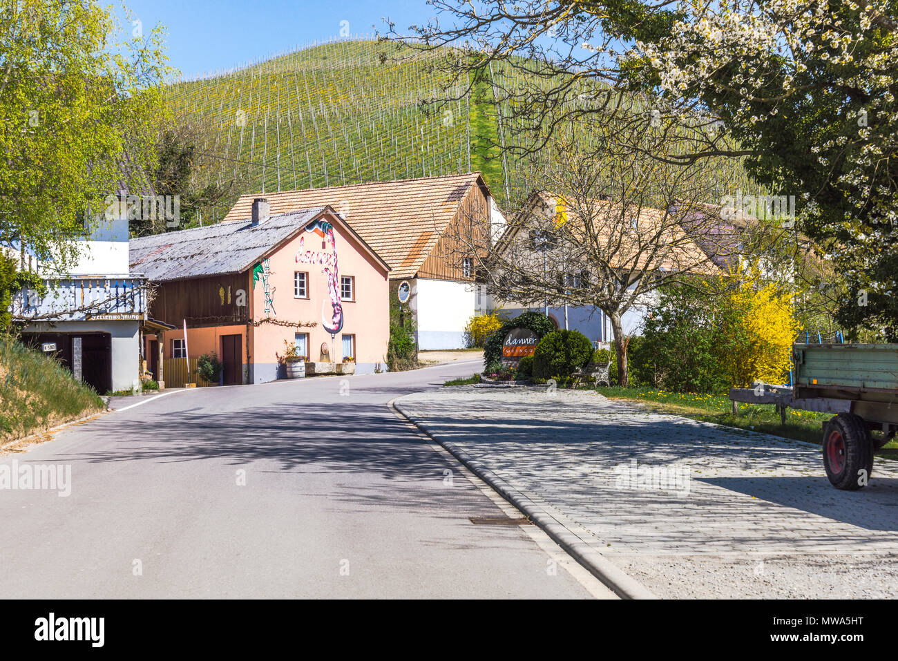 Durbach Baden Wurttemberg Germany Black Stockfotos und -bilder Kaufen - Alamy