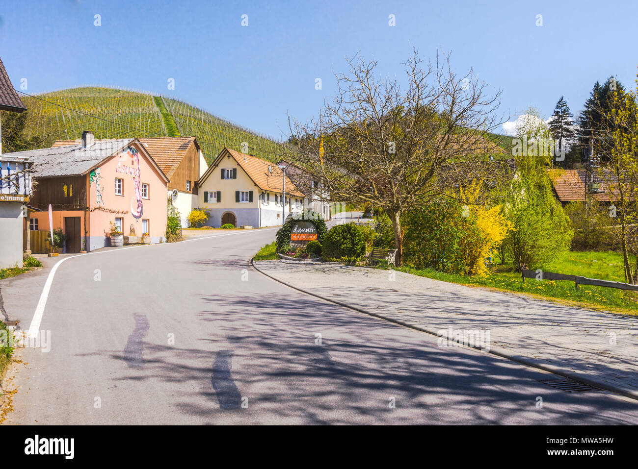 Badischer wein -Fotos und -Bildmaterial in hoher Auflösung – Alamy