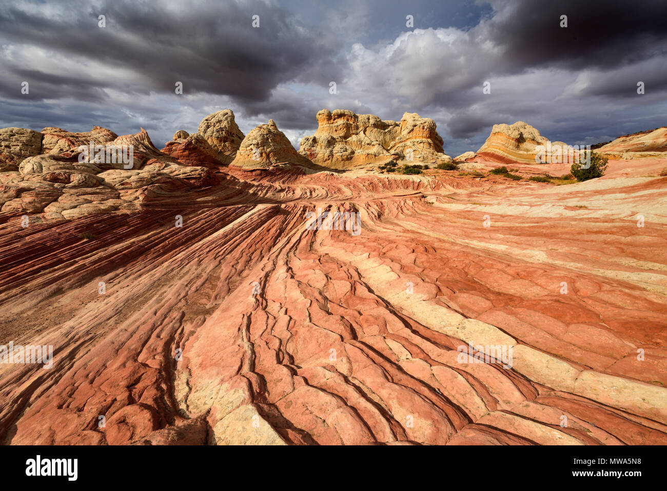 Einzigartige und beeindruckende Felsformationen in der White Pocket der ...