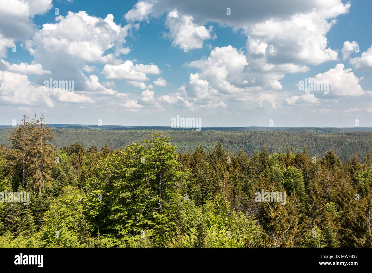 Wald gebirge berg berge -Fotos und -Bildmaterial in hoher Auflösung – Alamy