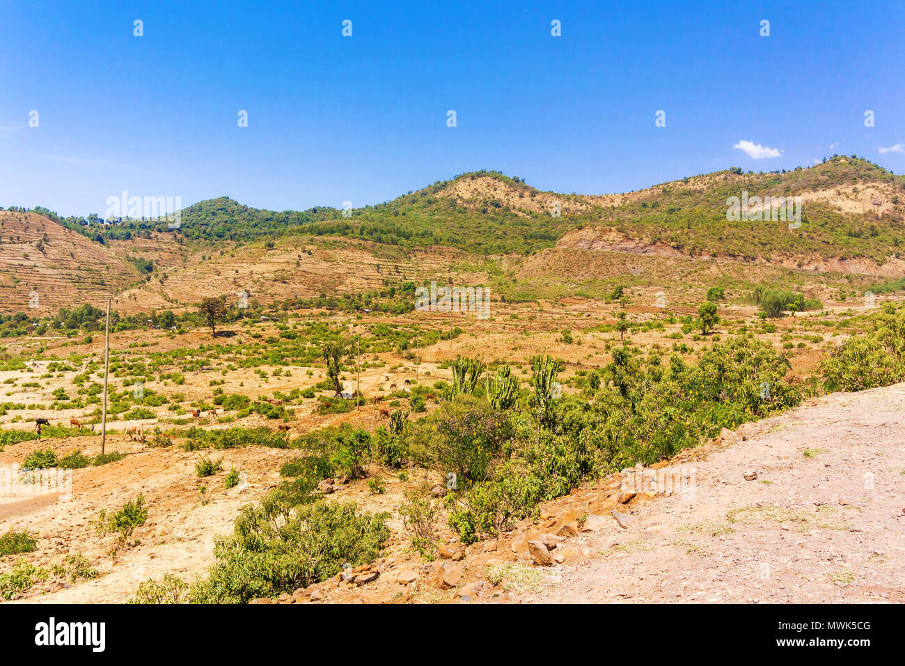 Addis zemen -Fotos und -Bildmaterial in hoher Auflösung – Alamy