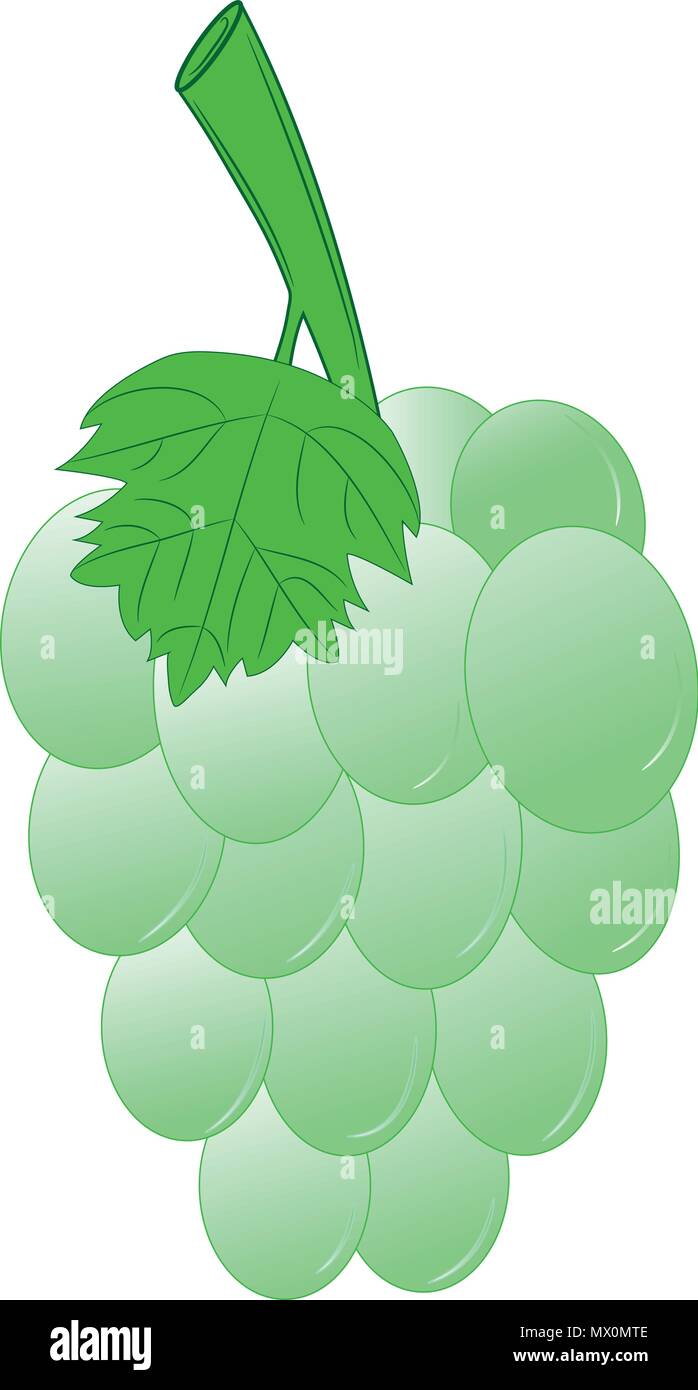 Weintrauben Cartoon Stockfotos und -bilder Kaufen - Alamy