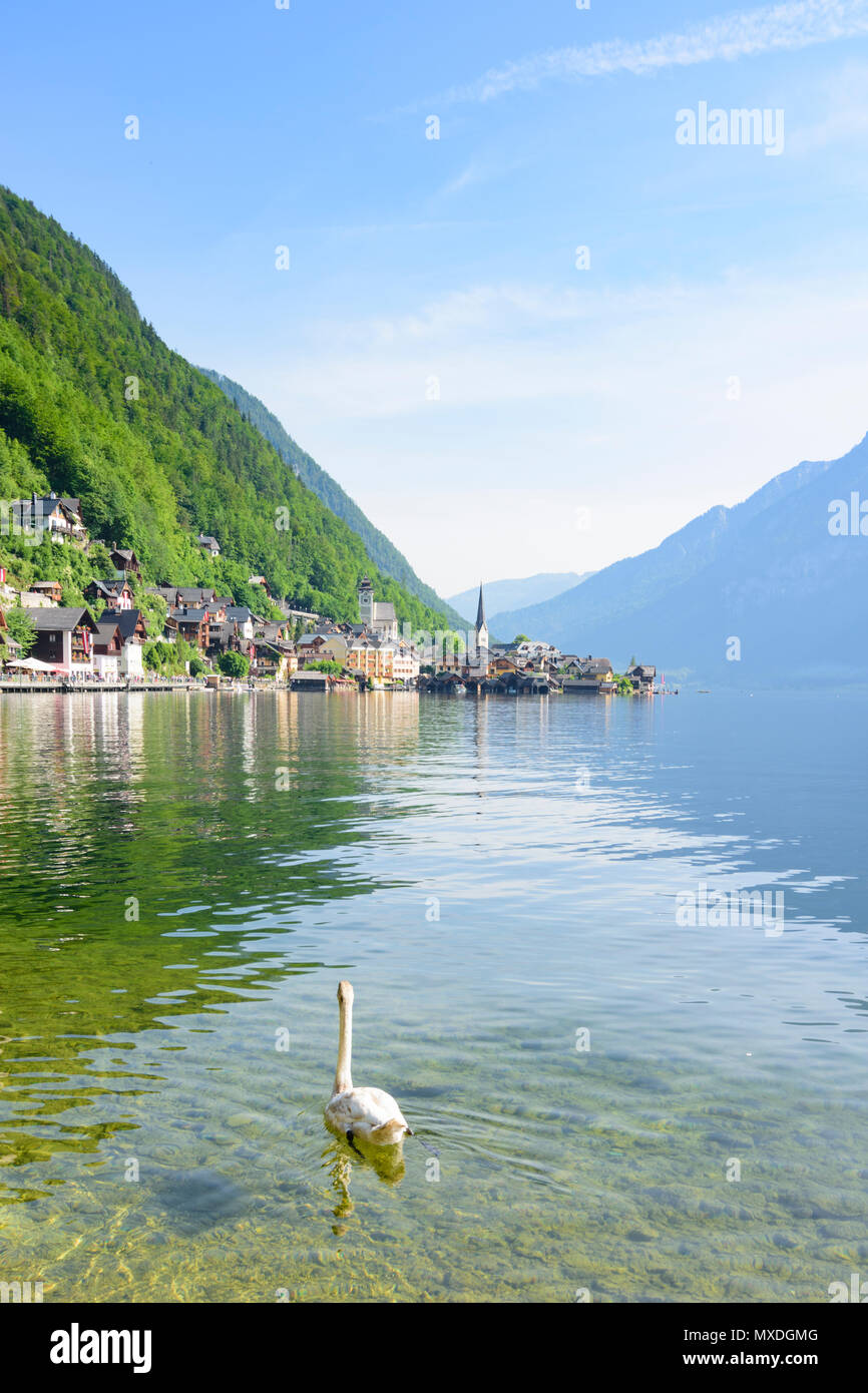 Hallstatter siehe see hallstatt -Fotos und -Bildmaterial in hoher ...
