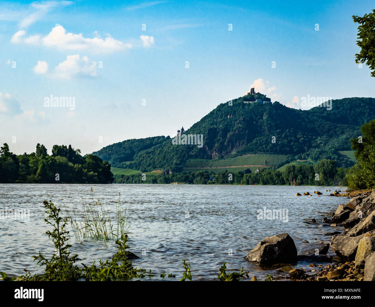 Blick auf Drachenfels aus über den Rhein Stockfotografie - Alamy