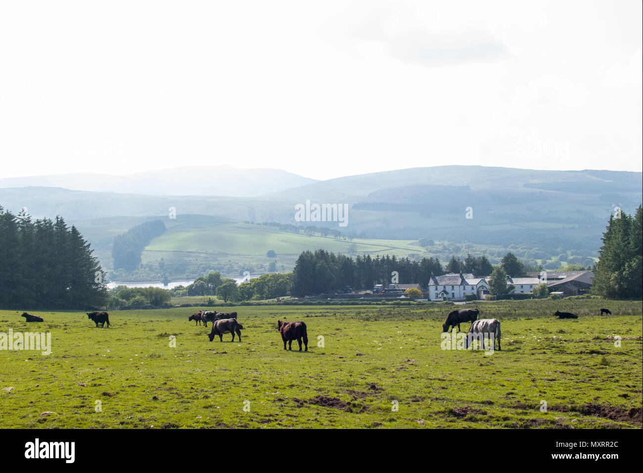 Crai reservoir -Fotos und -Bildmaterial in hoher Auflösung – Alamy