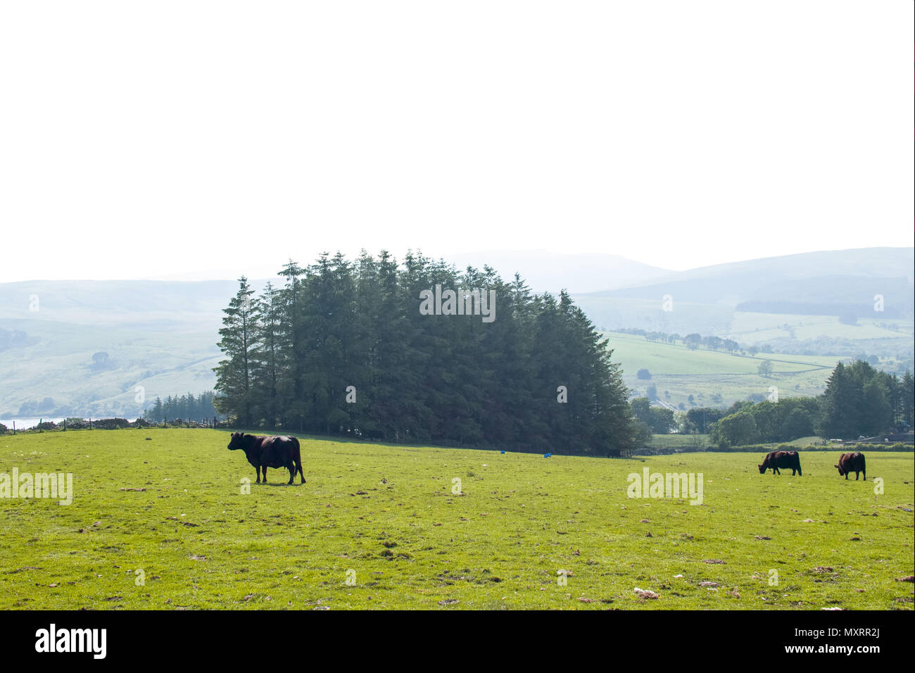 Crai reservoir -Fotos und -Bildmaterial in hoher Auflösung – Alamy