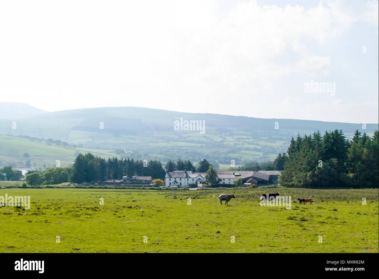 Crai reservoir -Fotos und -Bildmaterial in hoher Auflösung – Alamy