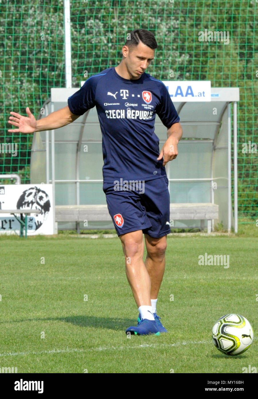 Marek suchy -Fotos und -Bildmaterial in hoher Auflösung – Alamy