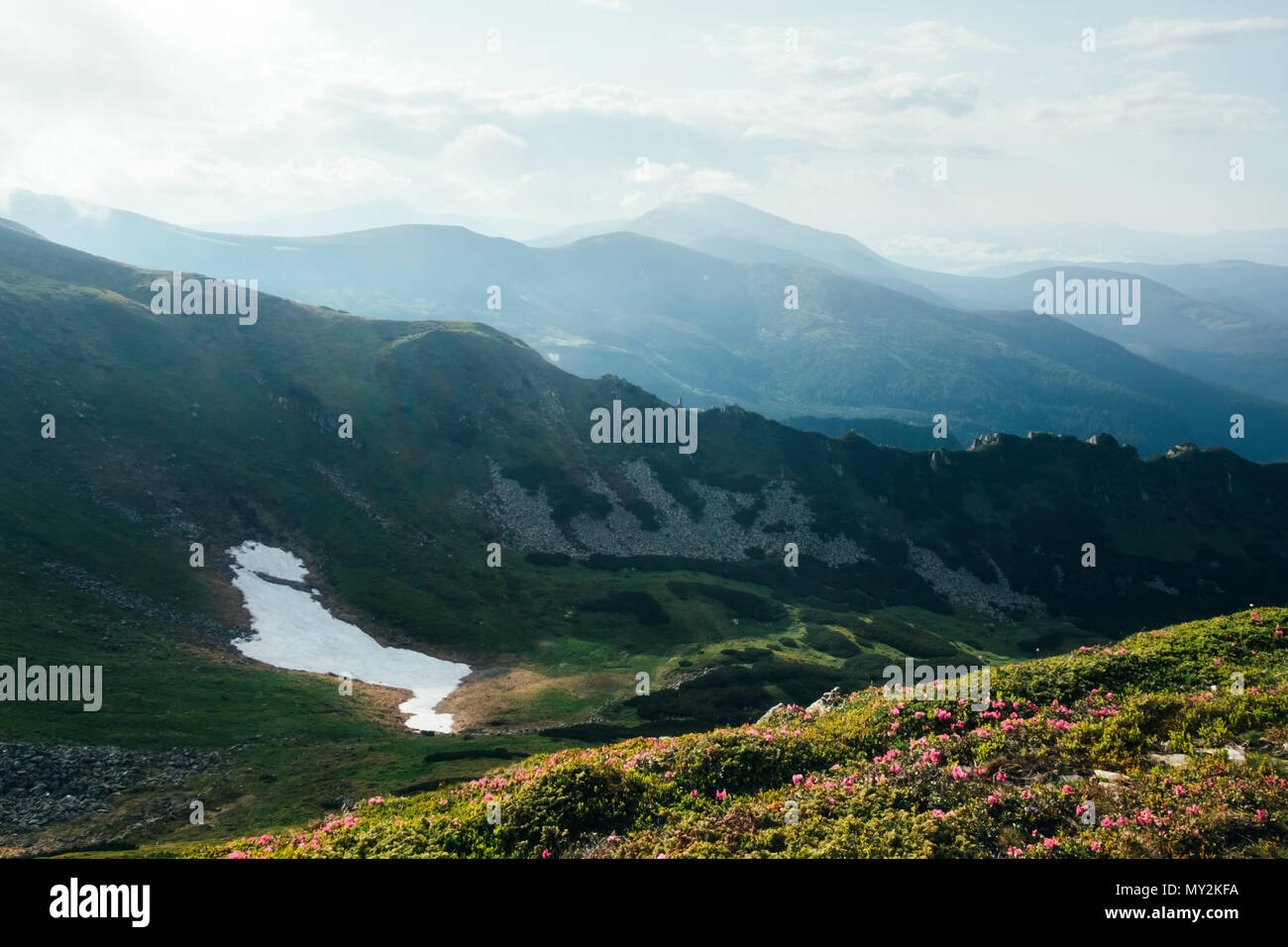 Steinige bergwiese -Fotos und -Bildmaterial in hoher Auflösung – Alamy
