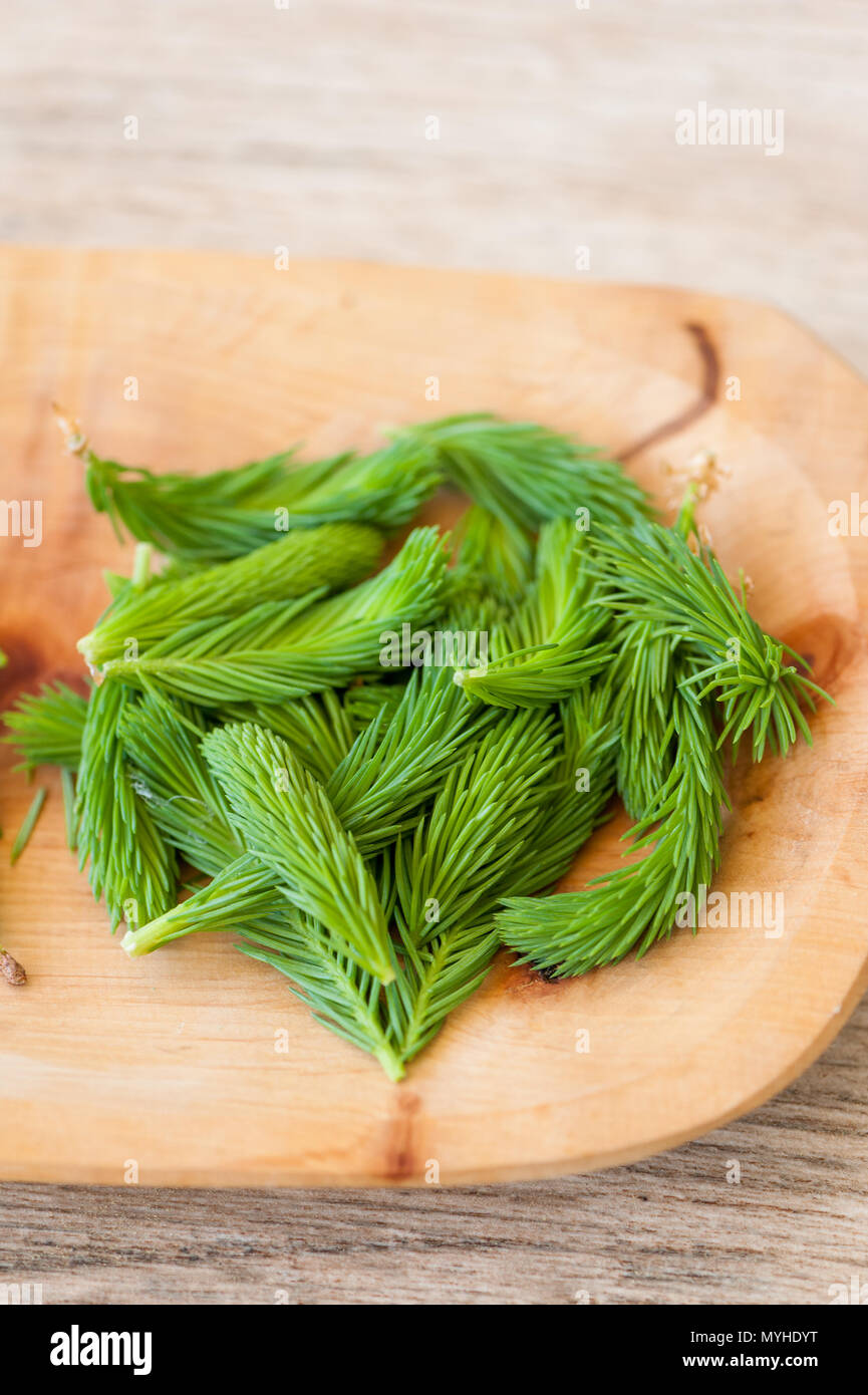 Fichtennadel ernte -Fotos und -Bildmaterial in hoher Auflösung – Alamy