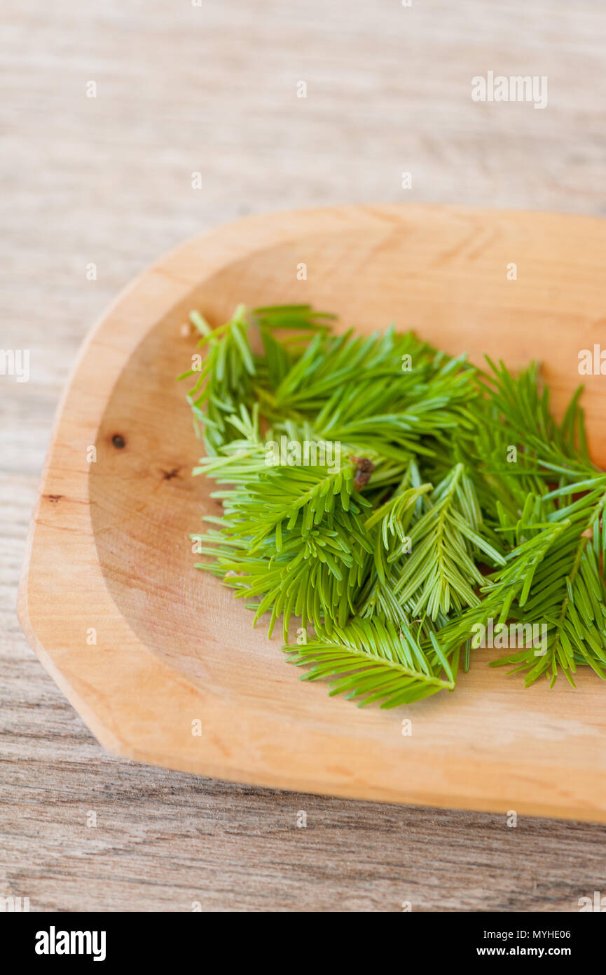 Fichtennadel ernte -Fotos und -Bildmaterial in hoher Auflösung – Alamy