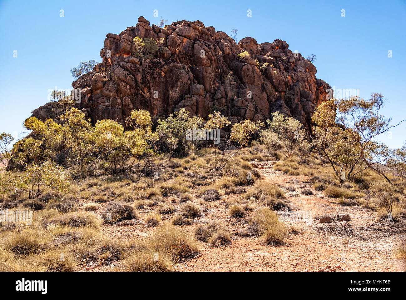 Mcdouall stuart place -Fotos und -Bildmaterial in hoher Auflösung – Alamy
