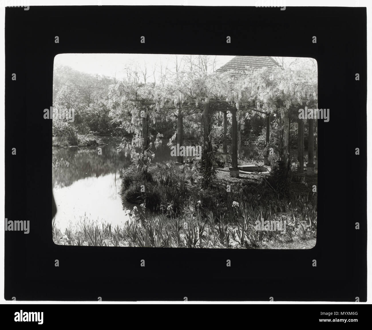 Louis tiffany -Fotos und -Bildmaterial in hoher Auflösung – Alamy