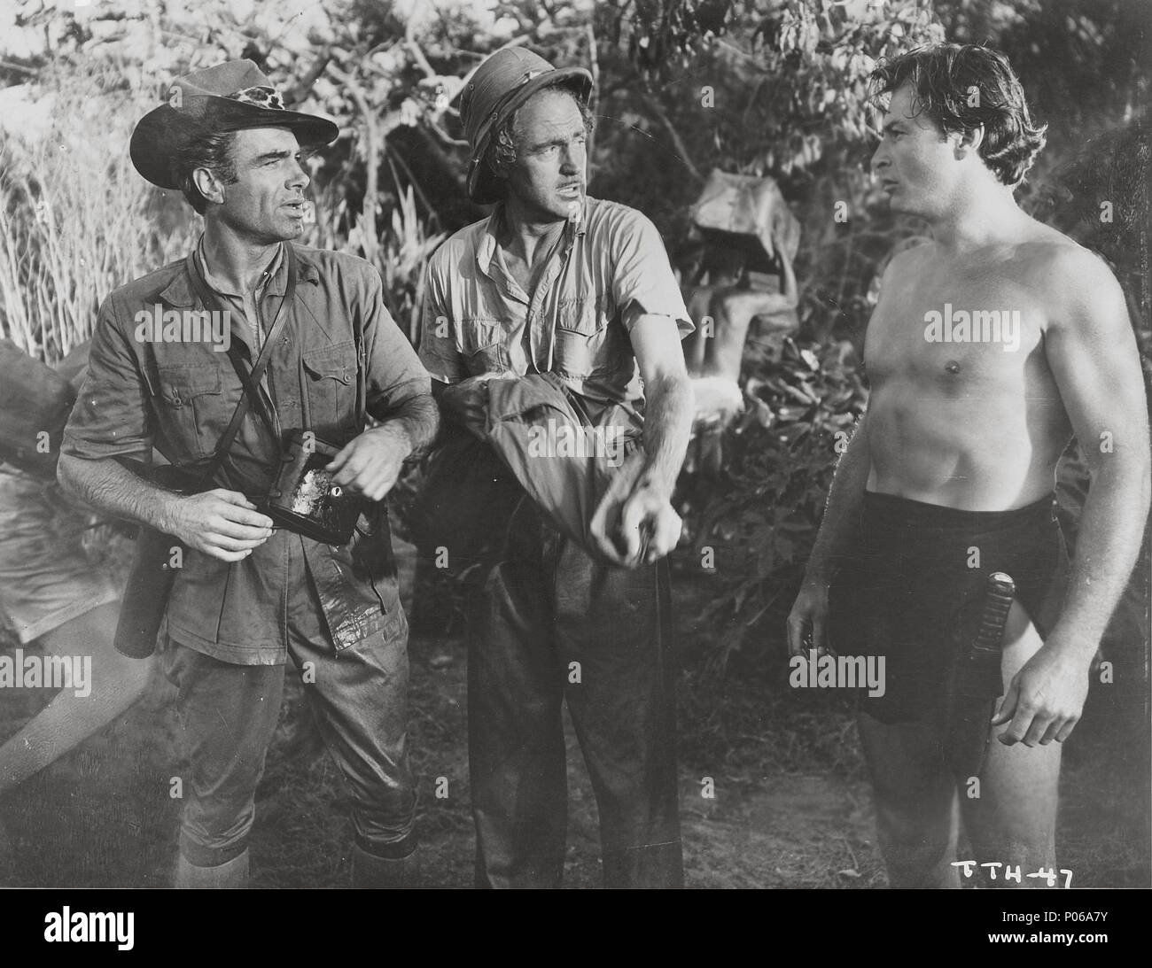 Tarzans wilde wut -Fotos und -Bildmaterial in hoher Auflösung – Alamy