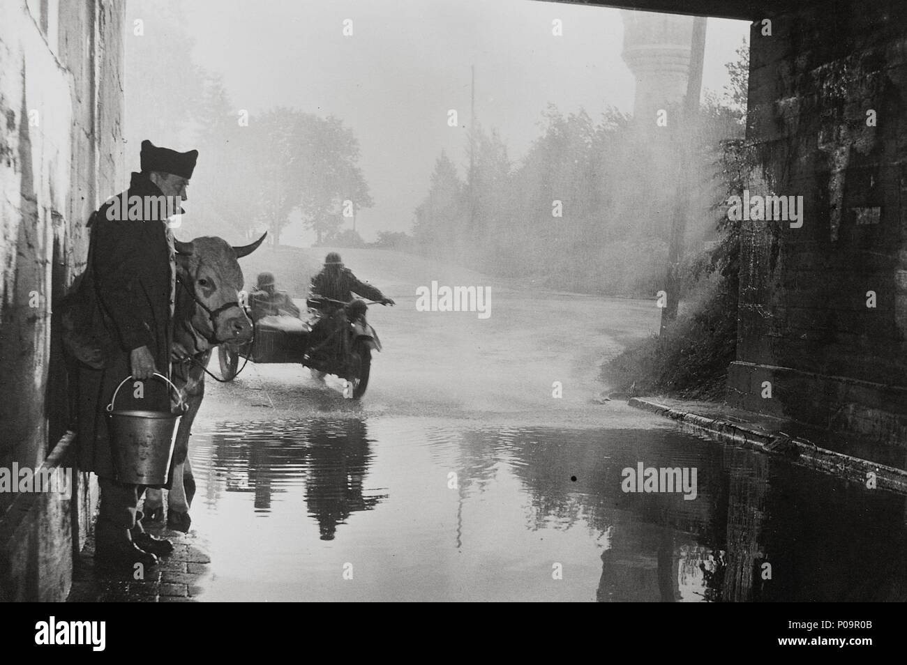 La vache et le prisonnier -Fotos und -Bildmaterial in hoher Auflösung ...