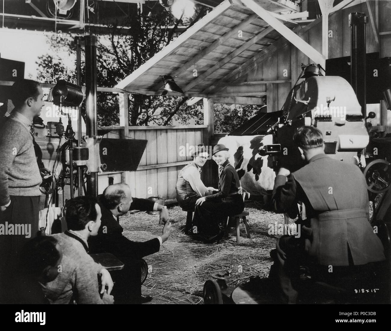 Kleiner tomlin -Fotos und -Bildmaterial in hoher Auflösung – Alamy