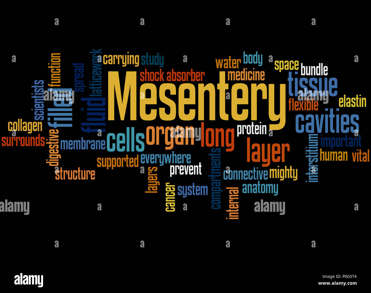 Mesenterium Wort cloud Konzept auf schwarzem Hintergrund. Das ...