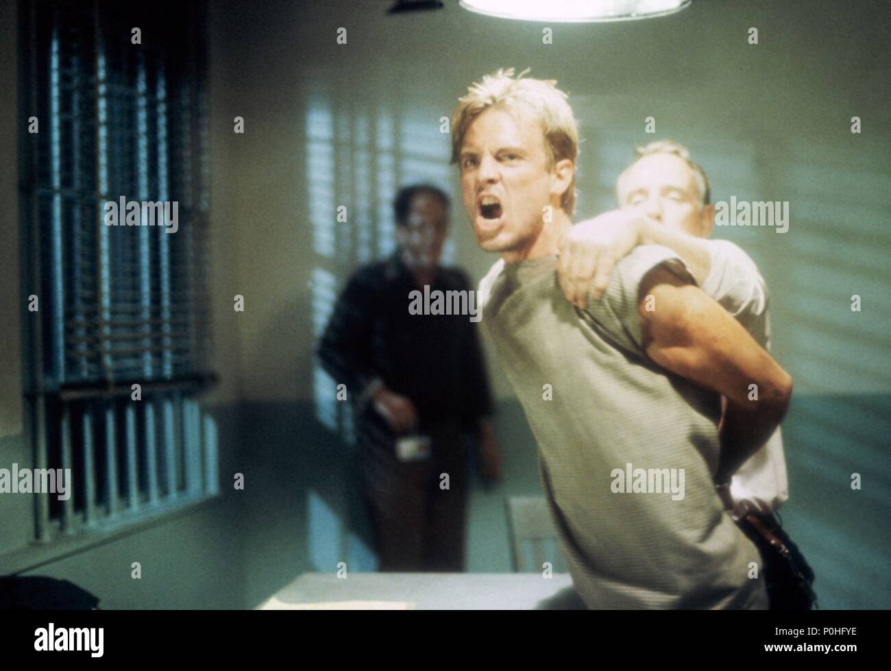 Original Film Titel: DER TERMINATOR. Englischer Titel: The Terminator ...