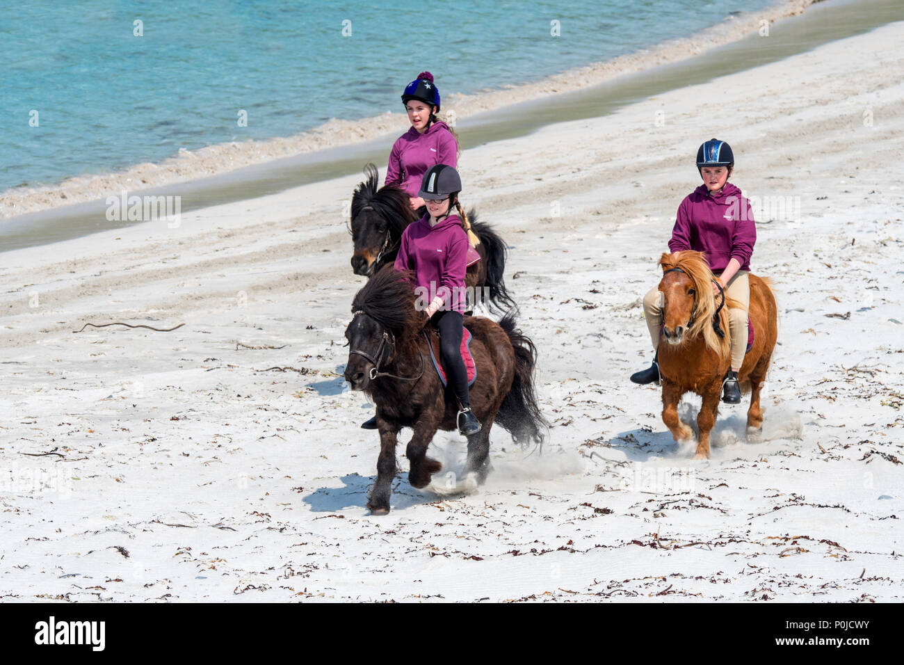 Girls riding shetland pony -Fotos und -Bildmaterial in hoher Auflösung ...