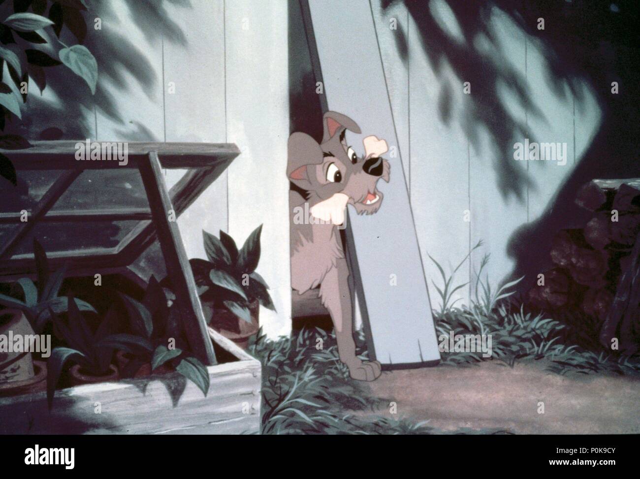 Disney lady and the tramp 1955 -Fotos und -Bildmaterial in hoher ...
