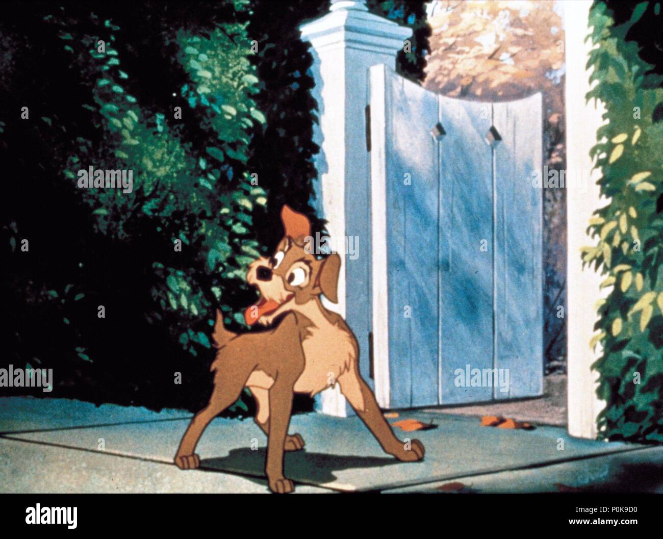 Disney lady and the tramp 1955 -Fotos und -Bildmaterial in hoher ...
