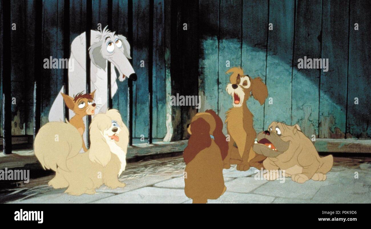 Lady and the tramp 1955 -Fotos und -Bildmaterial in hoher Auflösung – Alamy