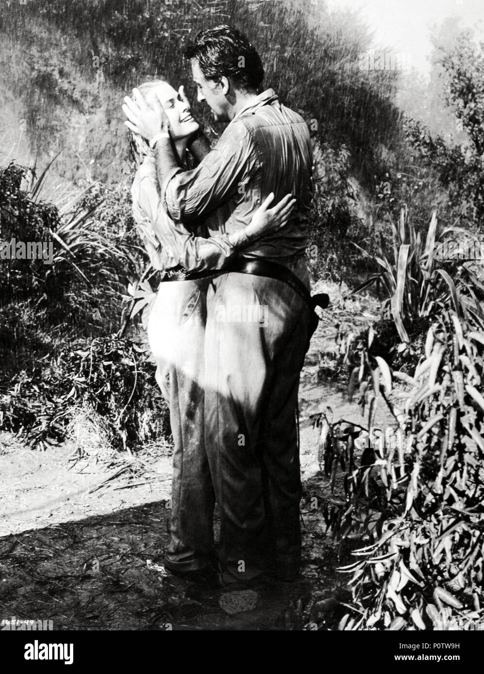 Kelly stewart -Fotos und -Bildmaterial in hoher Auflösung – Alamy