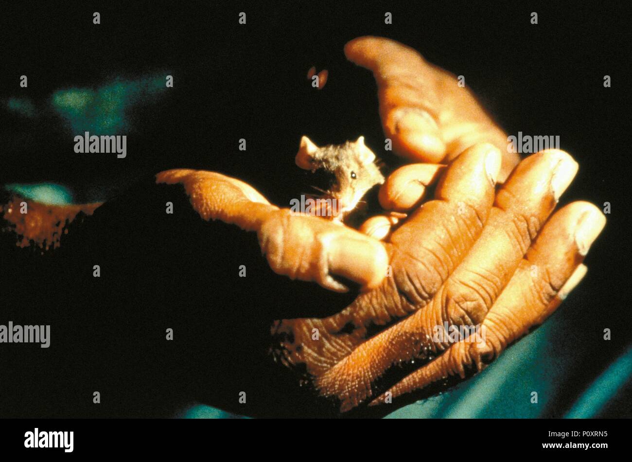 The green mile mouse -Fotos und -Bildmaterial in hoher Auflösung – Alamy