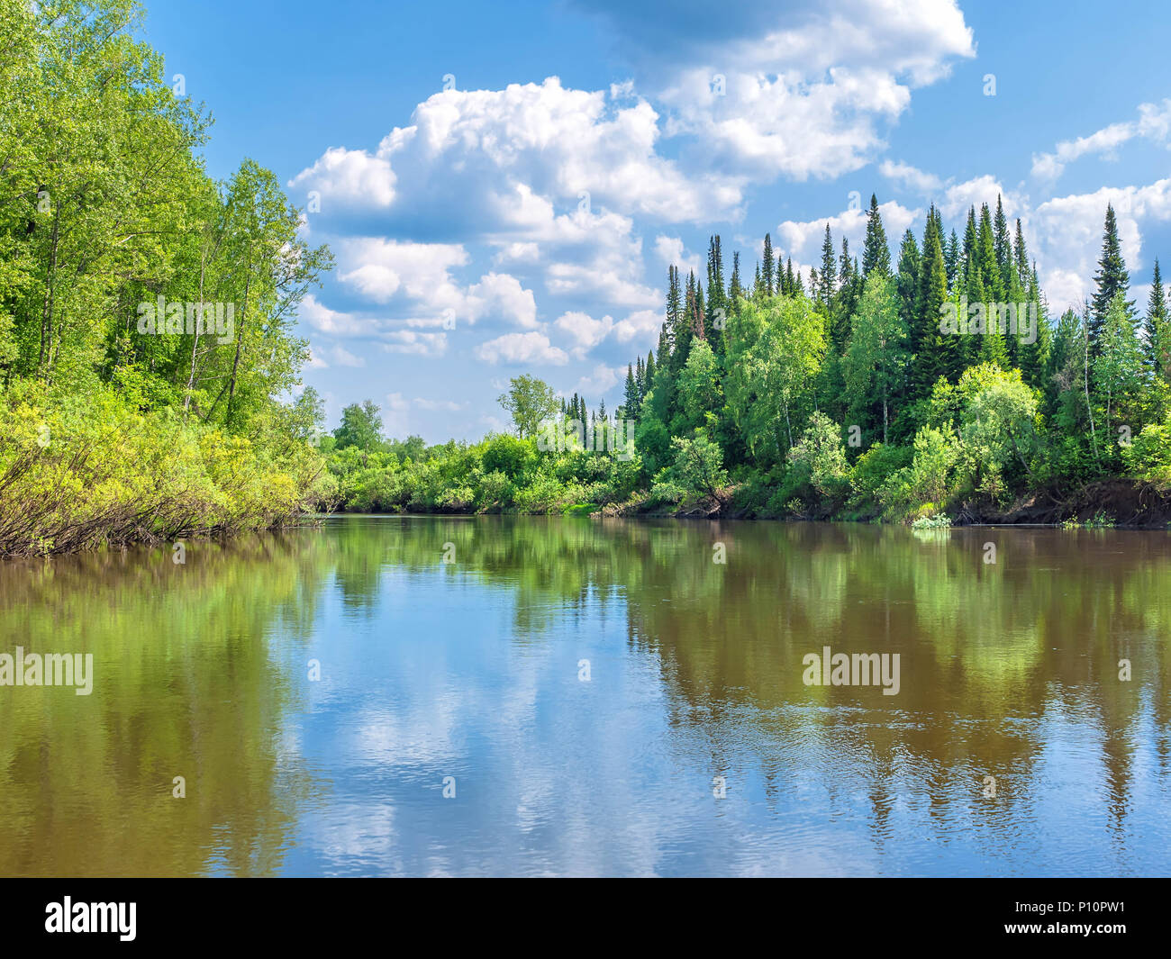 The Siberian Taiga Stockfotos und -bilder Kaufen - Alamy