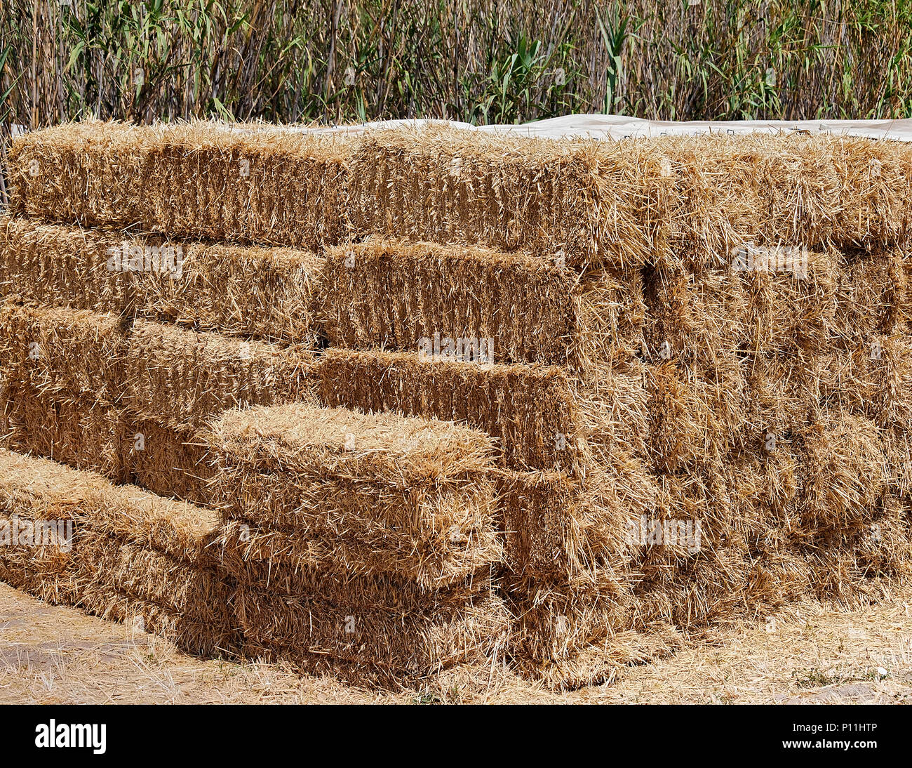 Heu krippe -Fotos und -Bildmaterial in hoher Auflösung – Alamy