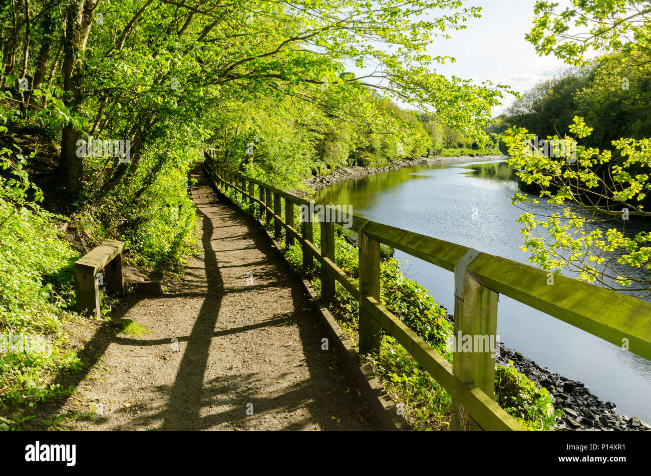 Coxgreen flussufer spaziergang -Fotos und -Bildmaterial in hoher ...