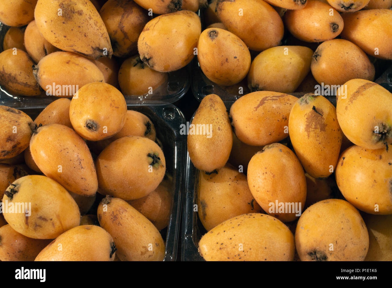 Oval orange Frucht von einem Baum eines sapodilla, ein sapotyl ...