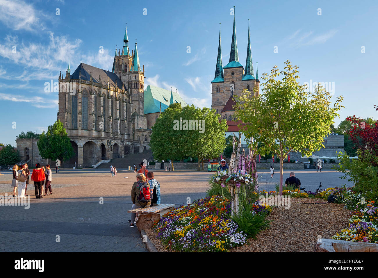 St marys dom und severikirche am domplatz in erfurt -Fotos und ...