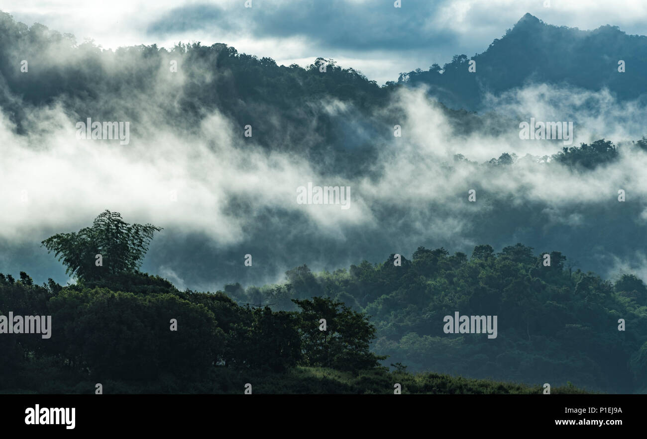 Tropische Zone Stockfotos & Tropische Zone Bilder - Alamy