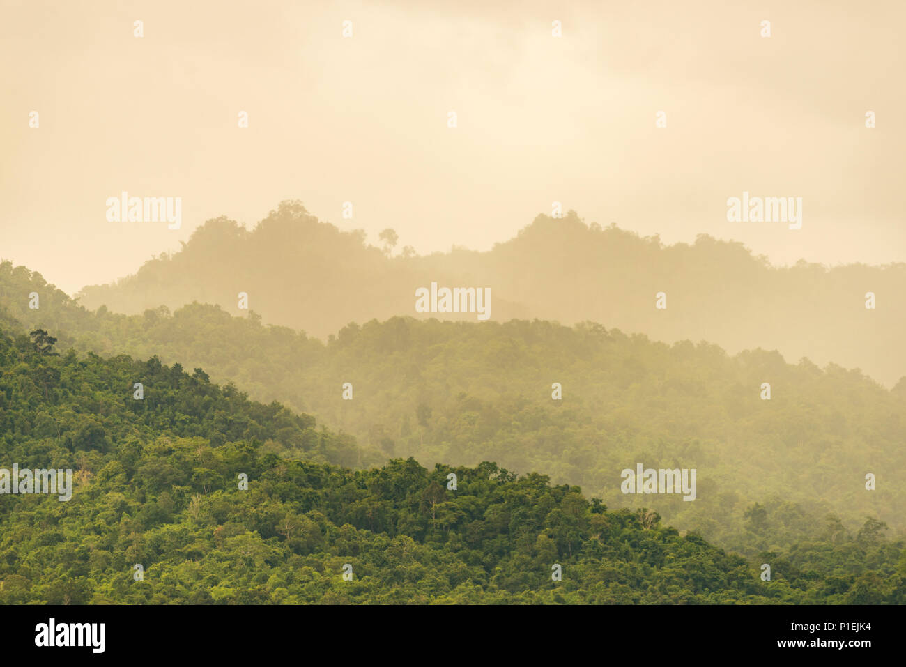 Tropische Zone Stockfotos & Tropische Zone Bilder - Alamy