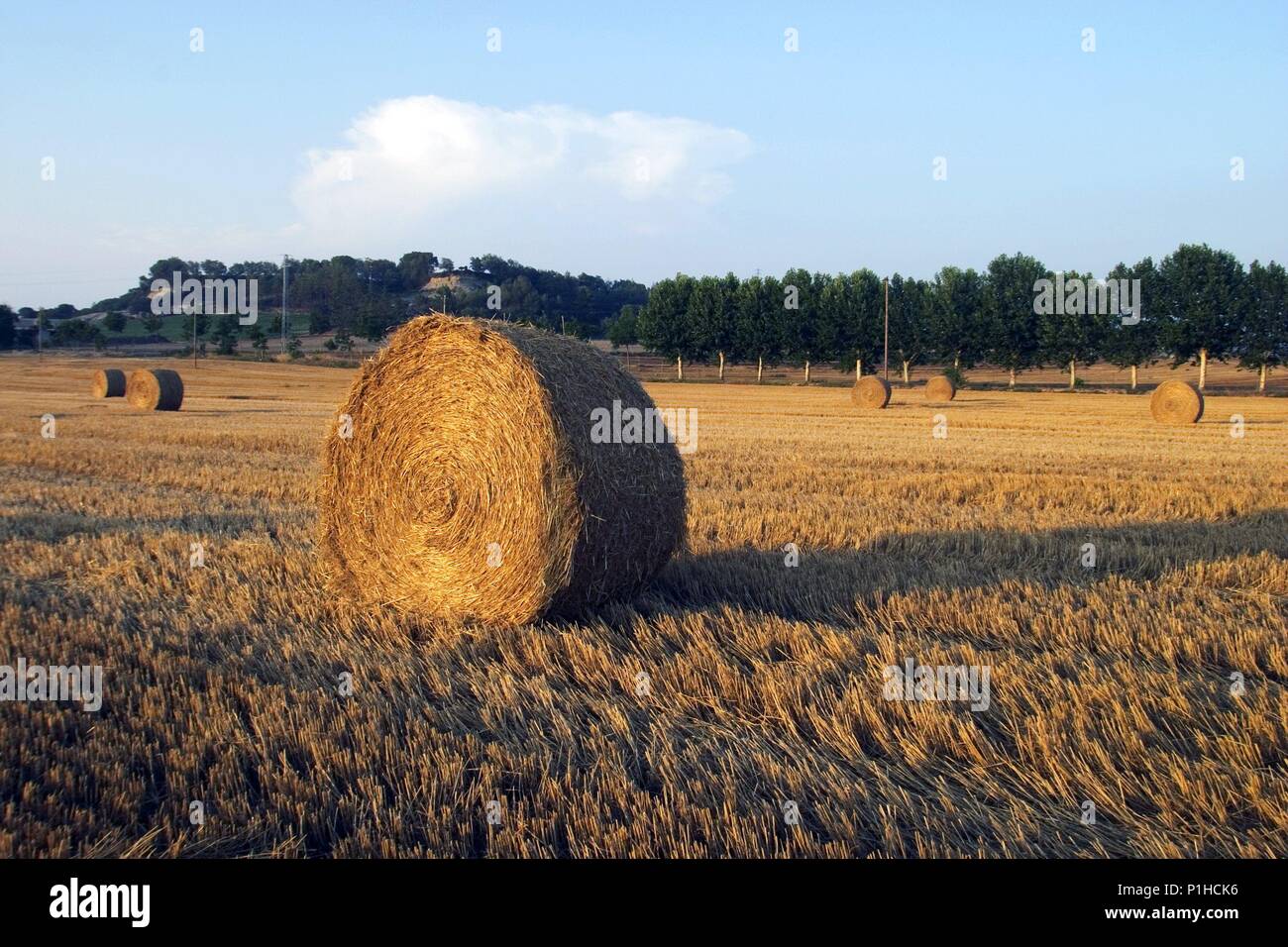Osona: paisaje Agrícola cerca de Tona de La Comarca de Osona ...