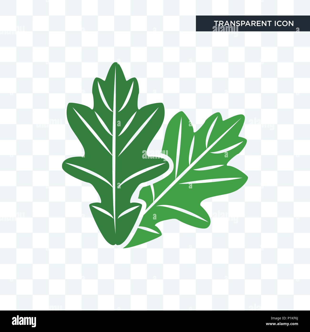 Eichenlaub vektor Icon auf transparentem Hintergrund isoliert, oak leaf ...