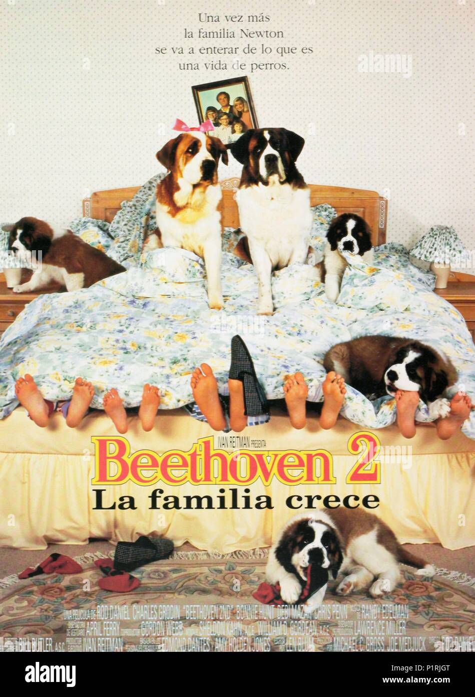 Regisseur rod daniel -Fotos und -Bildmaterial in hoher Auflösung – Alamy