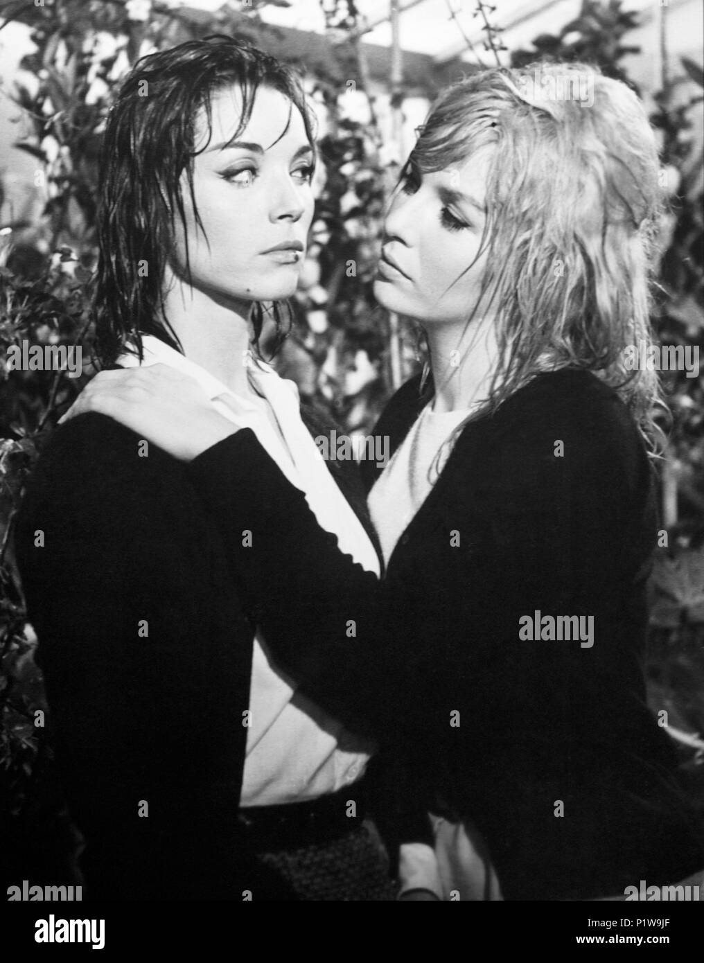 Elsa martinelli elsa martinelli elsa -Fotos und -Bildmaterial in hoher ...